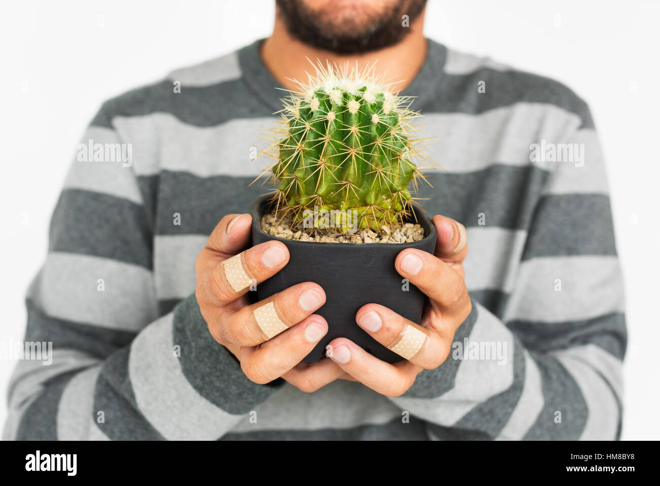 Close up of guy holding a cactus plant Stock Photo - Alamy