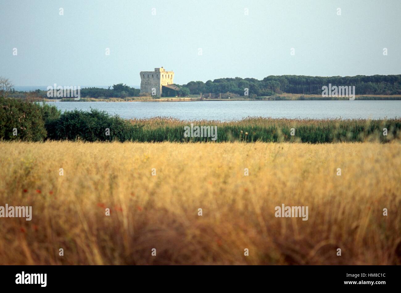 Buranaccio Tower, Lake Burano, Capalbio, Maremma, Tuscany. Italy, 16th ...