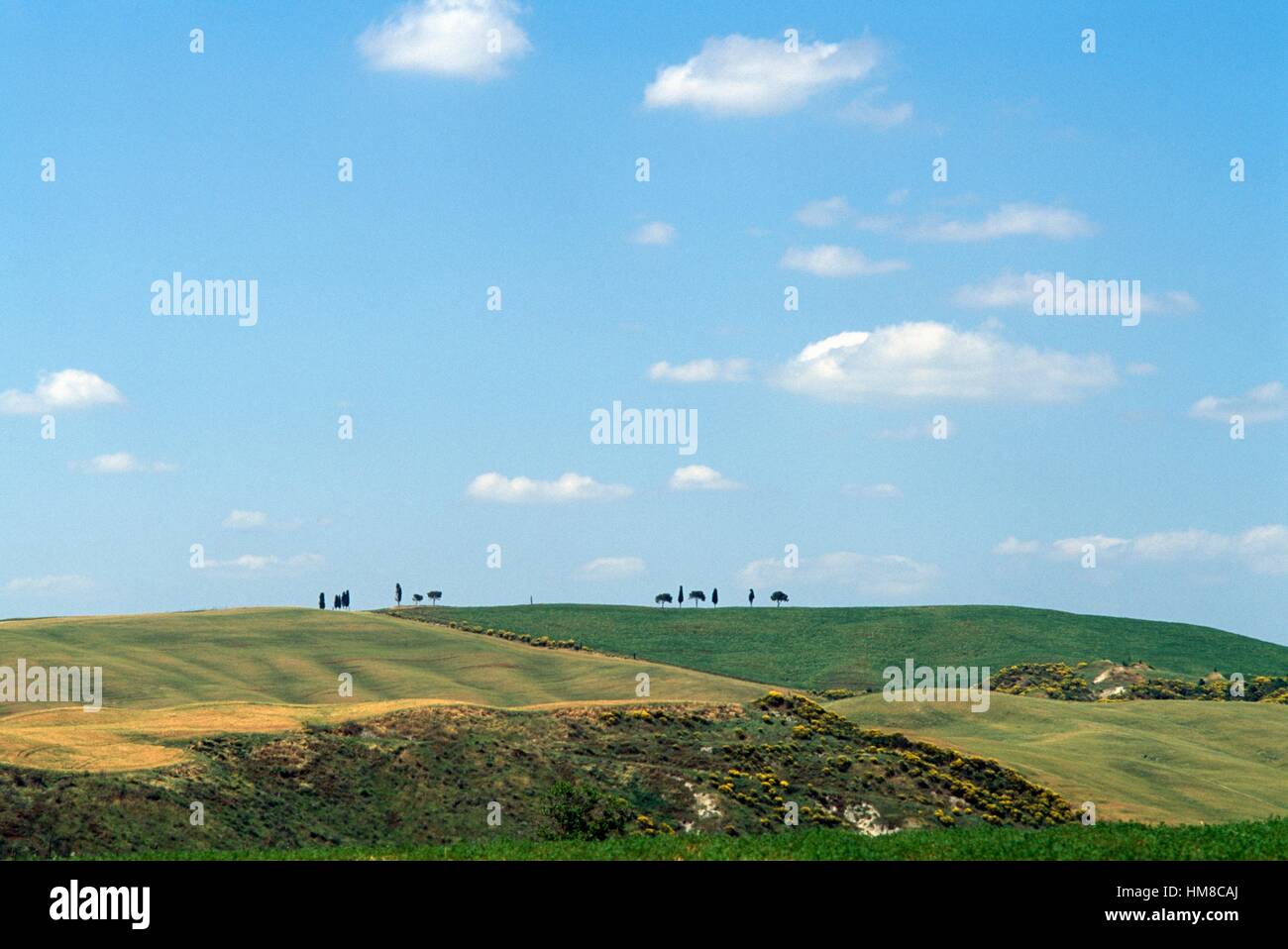 Agricultural landscape near Torrenieri, Montalcino, Val d'Orcia (Unesco ...