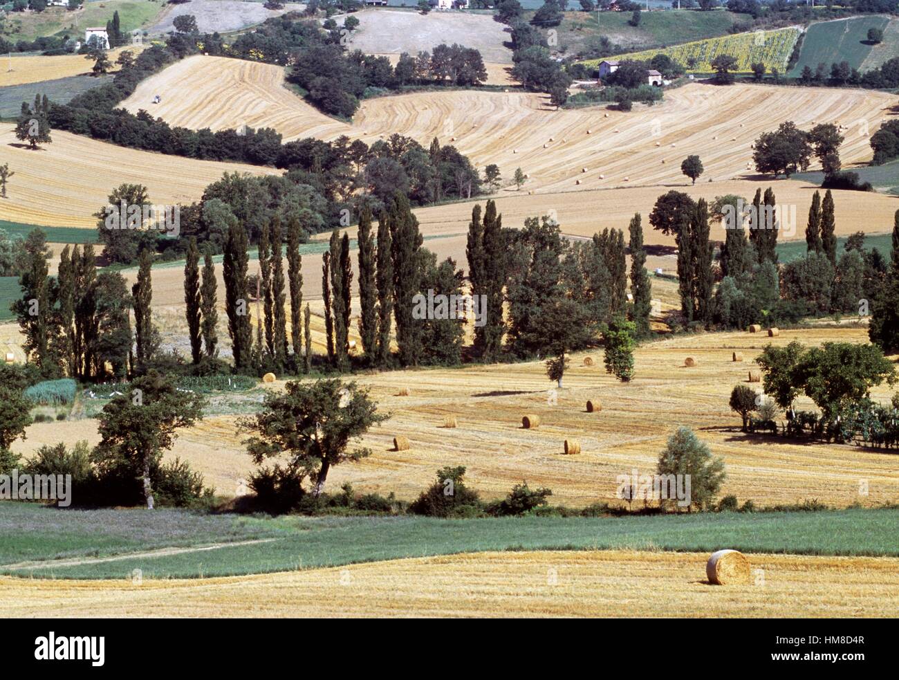 Agricultural landscape between Sigillo and Scheggia, Monte Cucco Park ...