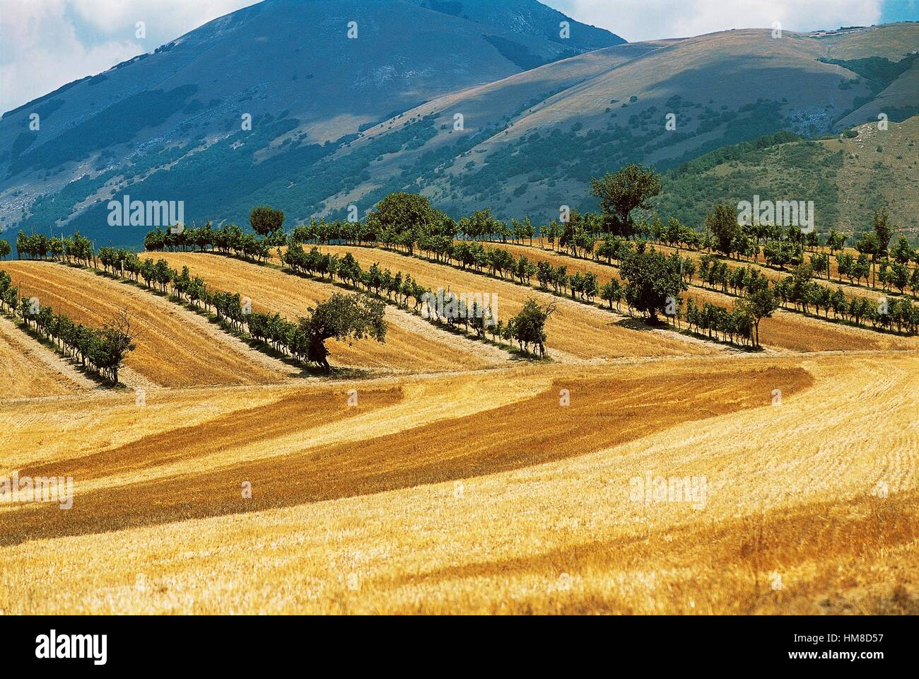 Agricultural landscape between Sigillo and Scheggia, Monte Cucco Park ...