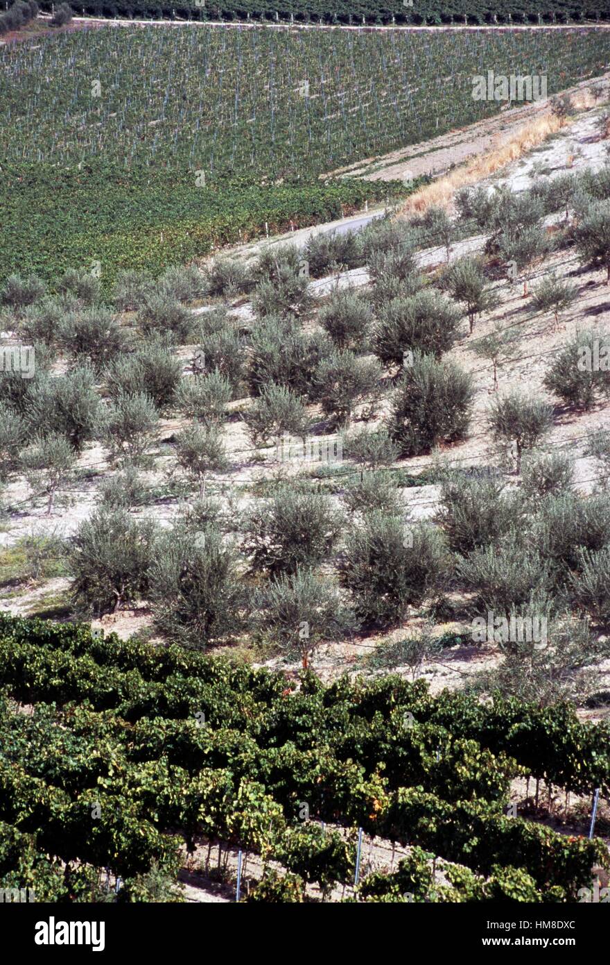 Ciro valley hi-res stock photography and images - Alamy