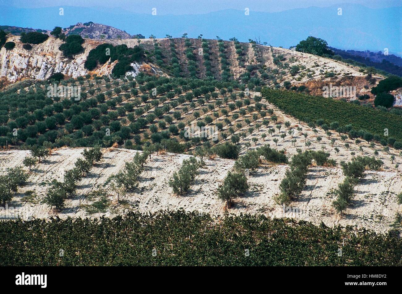 Ciro valley hi-res stock photography and images - Alamy