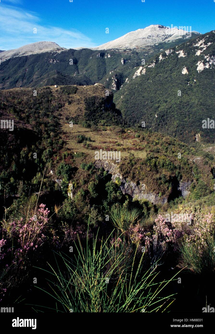 Lao river valley, Pollino national park, Calabria, Italy Stock Photo ...