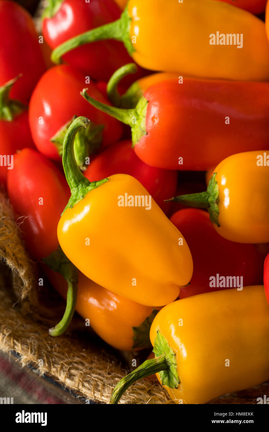 Mini sweet pepper hi-res stock photography and images - Alamy