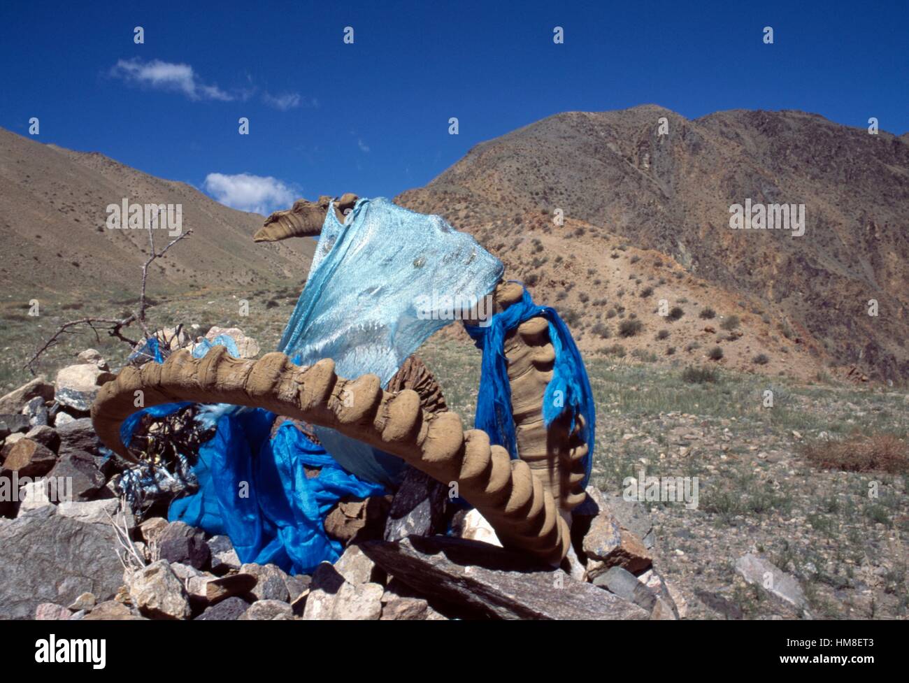 Ovoo, prayer altar, with argali horns, Gobi Altai range, Bayankhongor ...