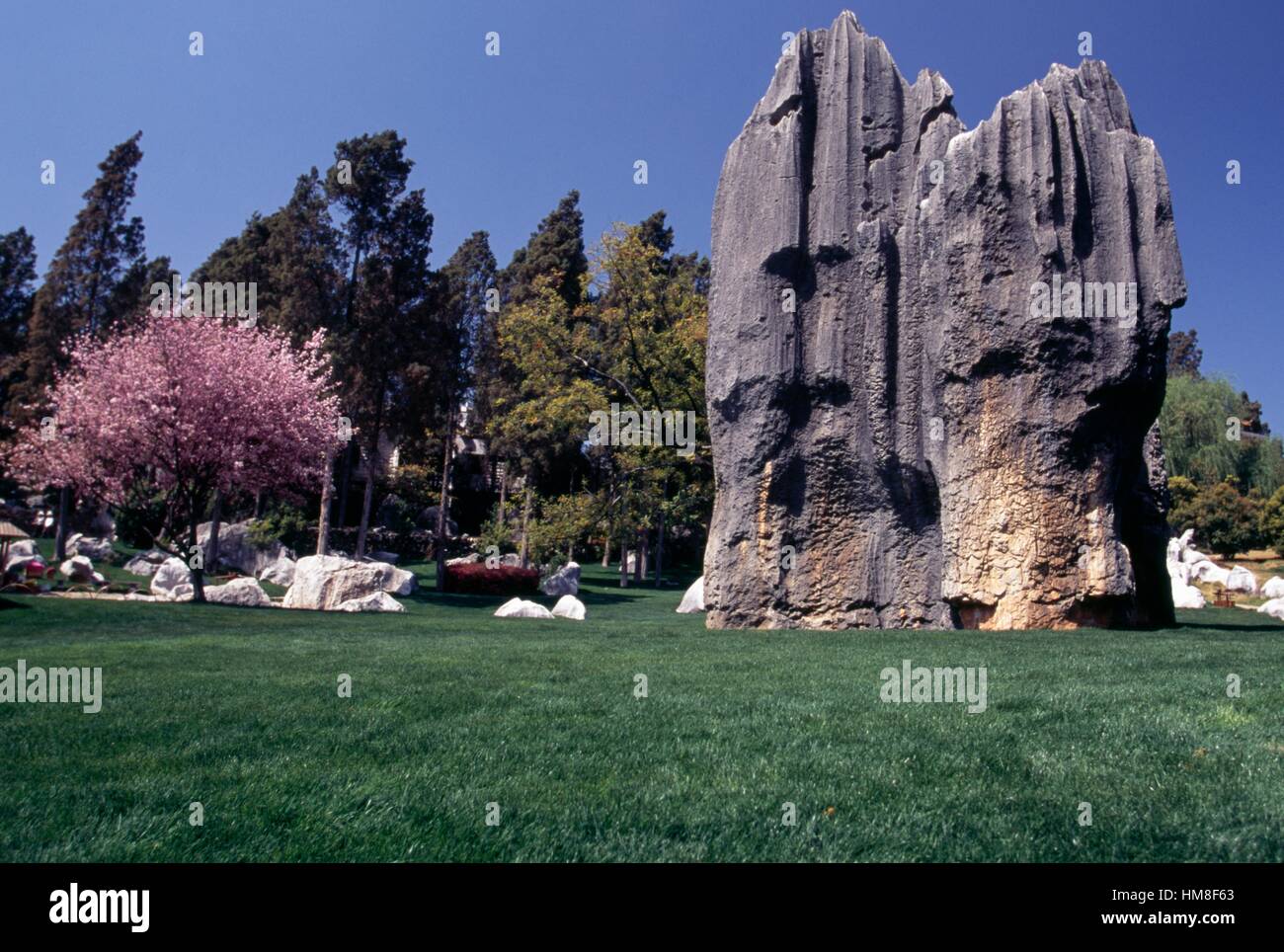 Erosion on a limestone rock, Shilin, Lunan stone forest, Yunnan, China ...