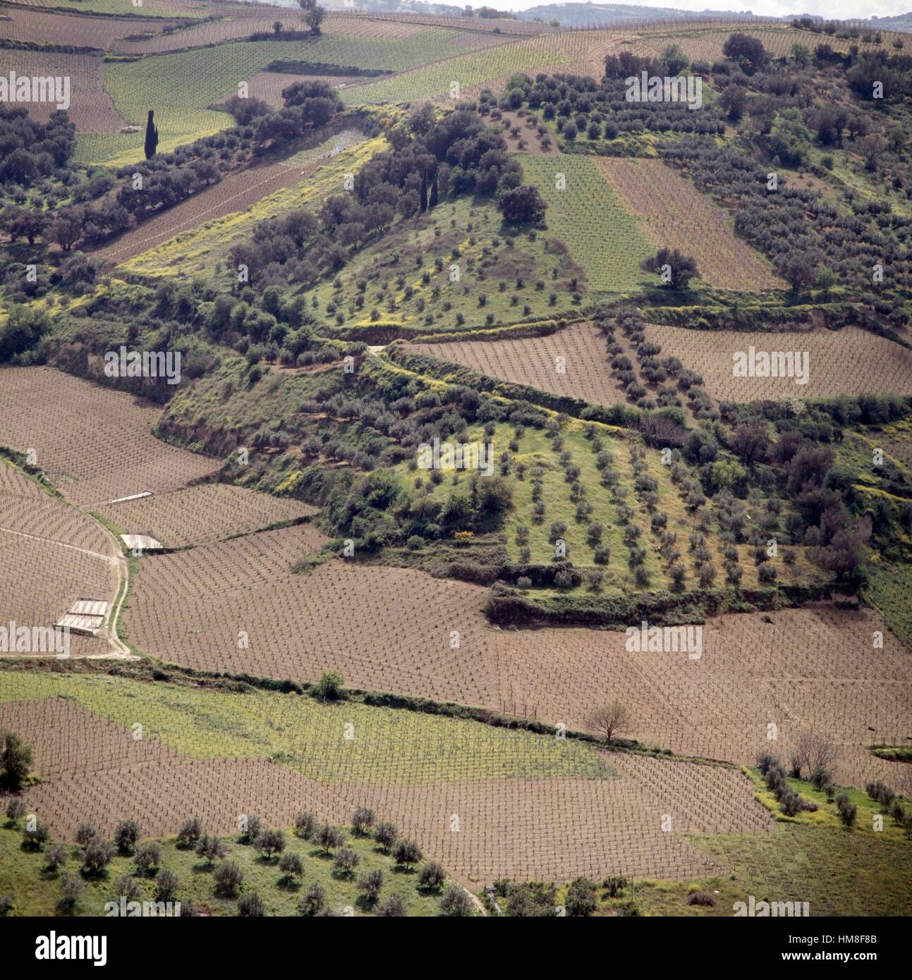 Cultivated fields and trees around Palianis, Crete, Greece Stock Photo ...