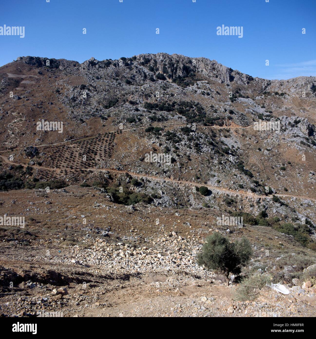 Rocky landscape near Kato Floria, Crete, Greece Stock Photo - Alamy