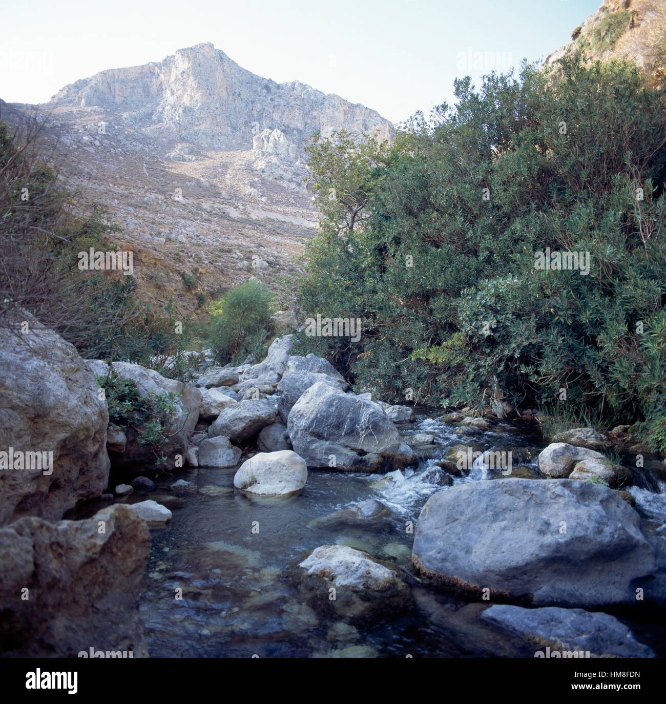A creek in Kourtaliotiko gorge, Crete, Greece Stock Photo - Alamy