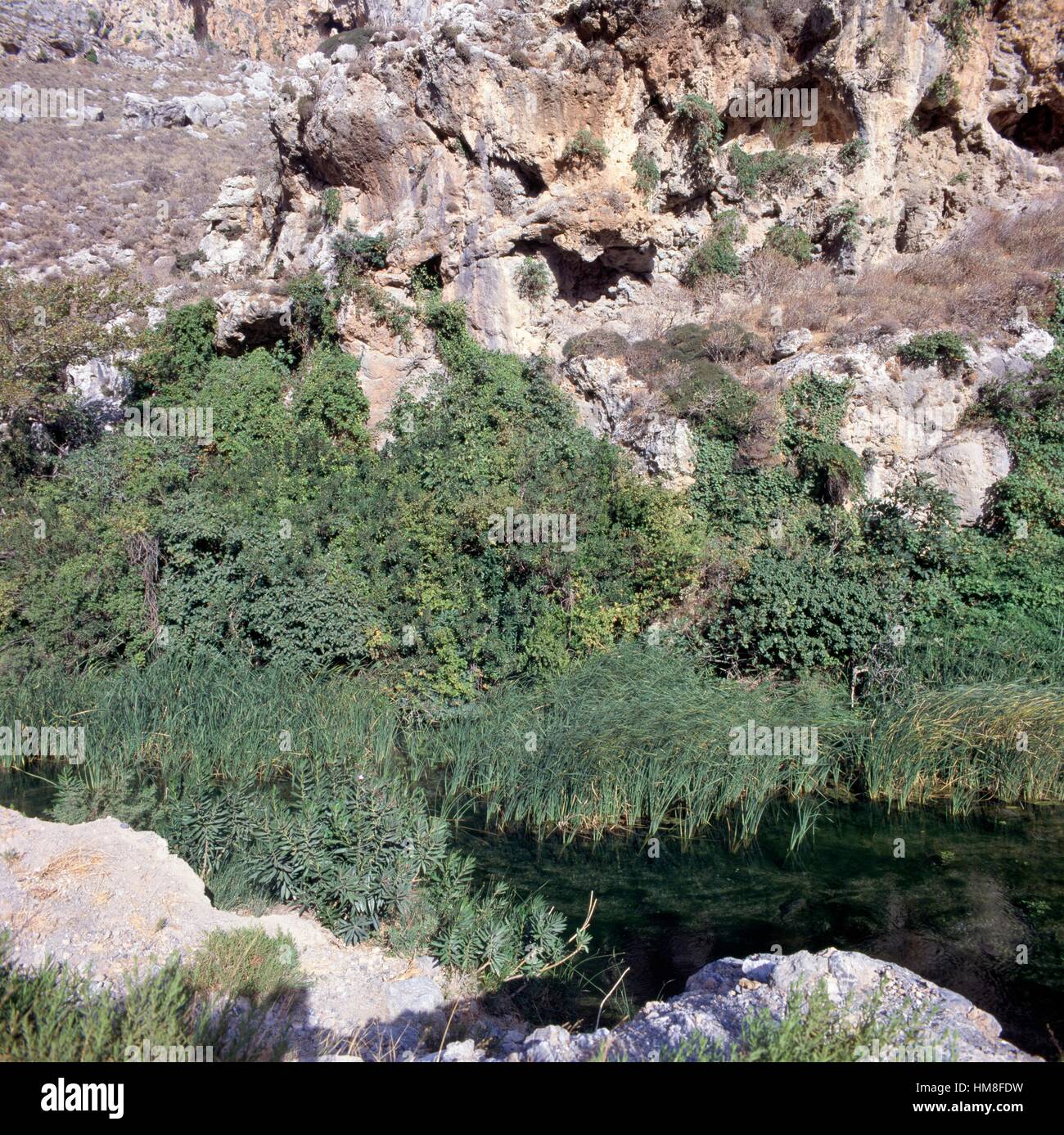 A creek in Kourtaliotiko gorge, Crete, Greece Stock Photo - Alamy