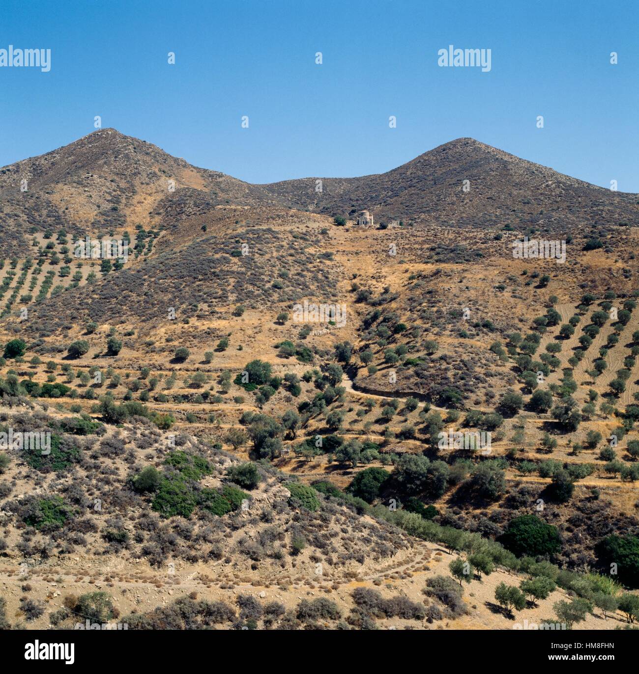 Cultivated terrain on the Lasithi plateau, Crete, Greece Stock Photo ...