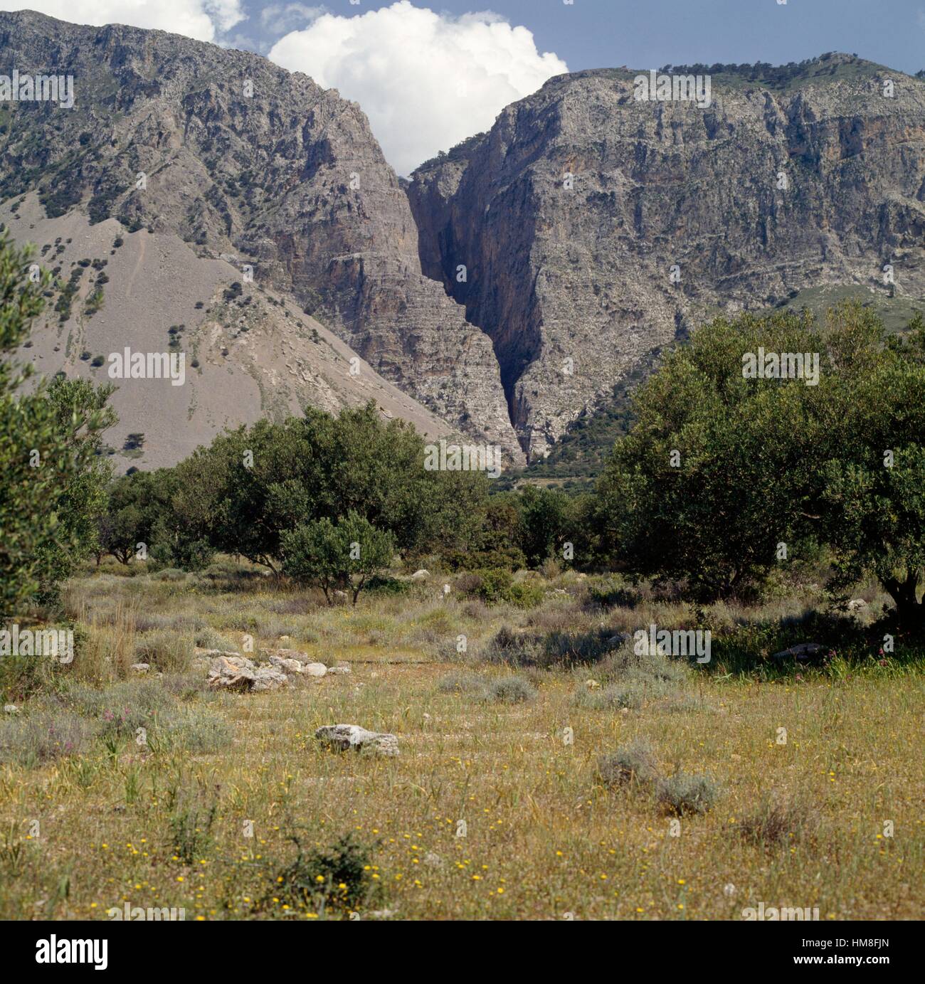 Ha gorge crete greece hi-res stock photography and images - Alamy