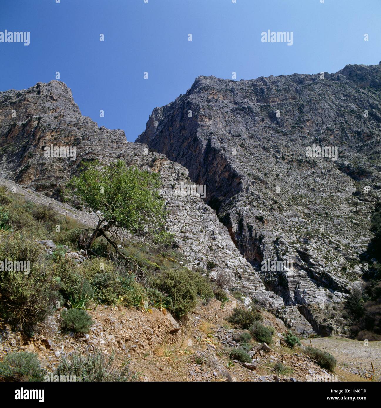 Ha gorge, Crete, Greece Stock Photo - Alamy