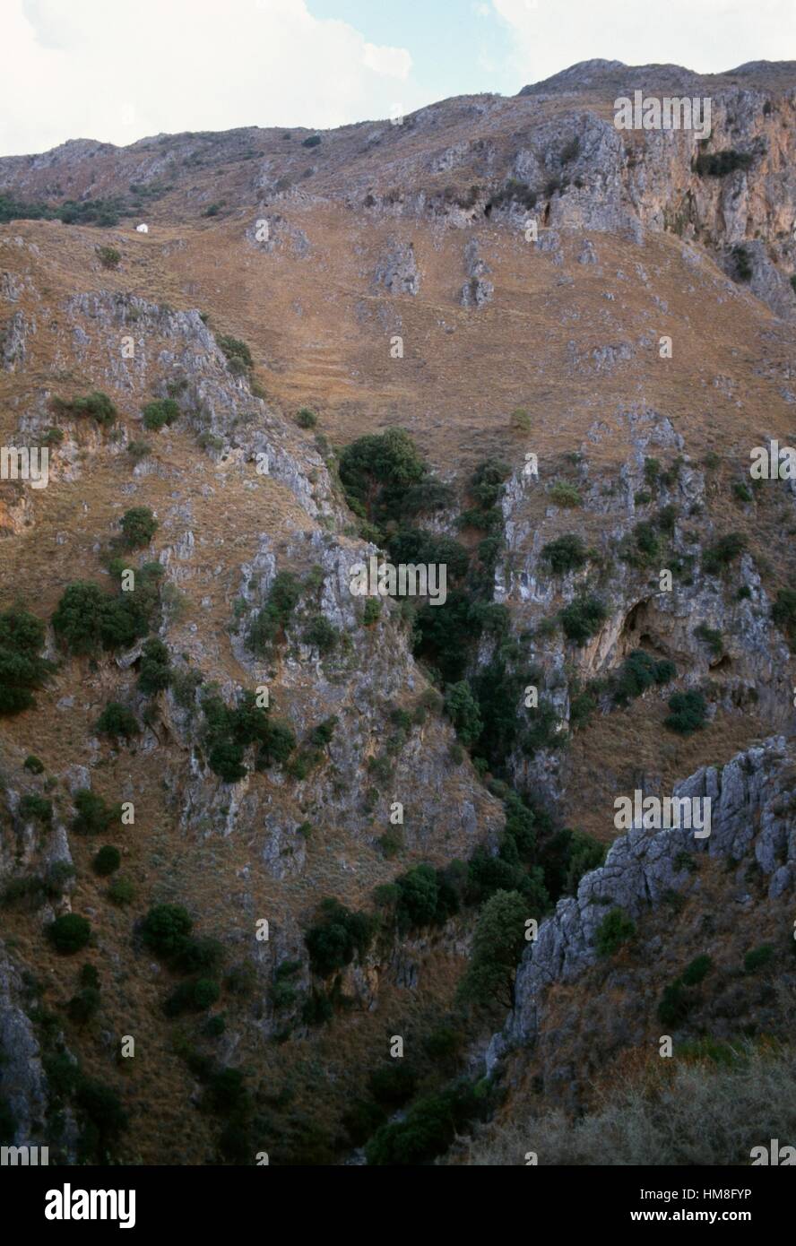 Topolia gorge, Crete, Greece Stock Photo - Alamy