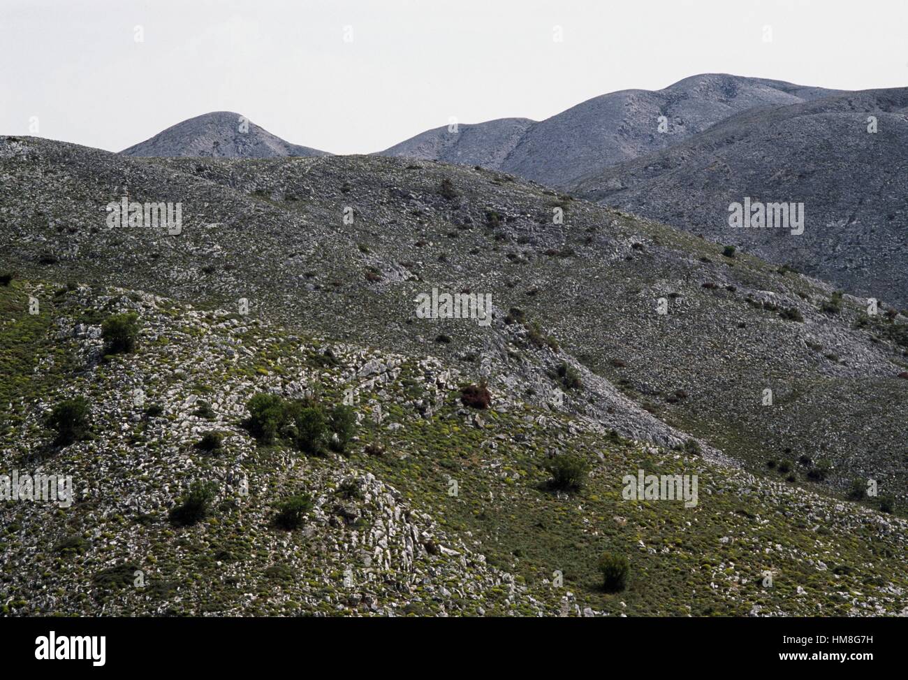 Plants and rock formations near Asfendou, Crete, Greece Stock Photo - Alamy