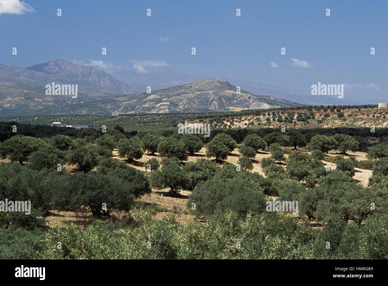 Valley of messara hi-res stock photography and images - Alamy