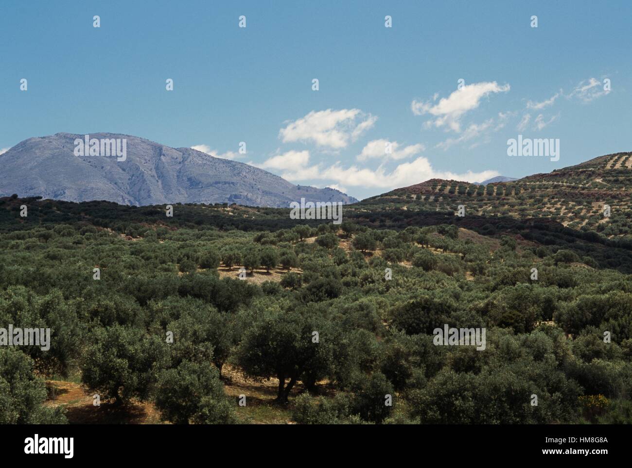 Valley of messara hi-res stock photography and images - Alamy