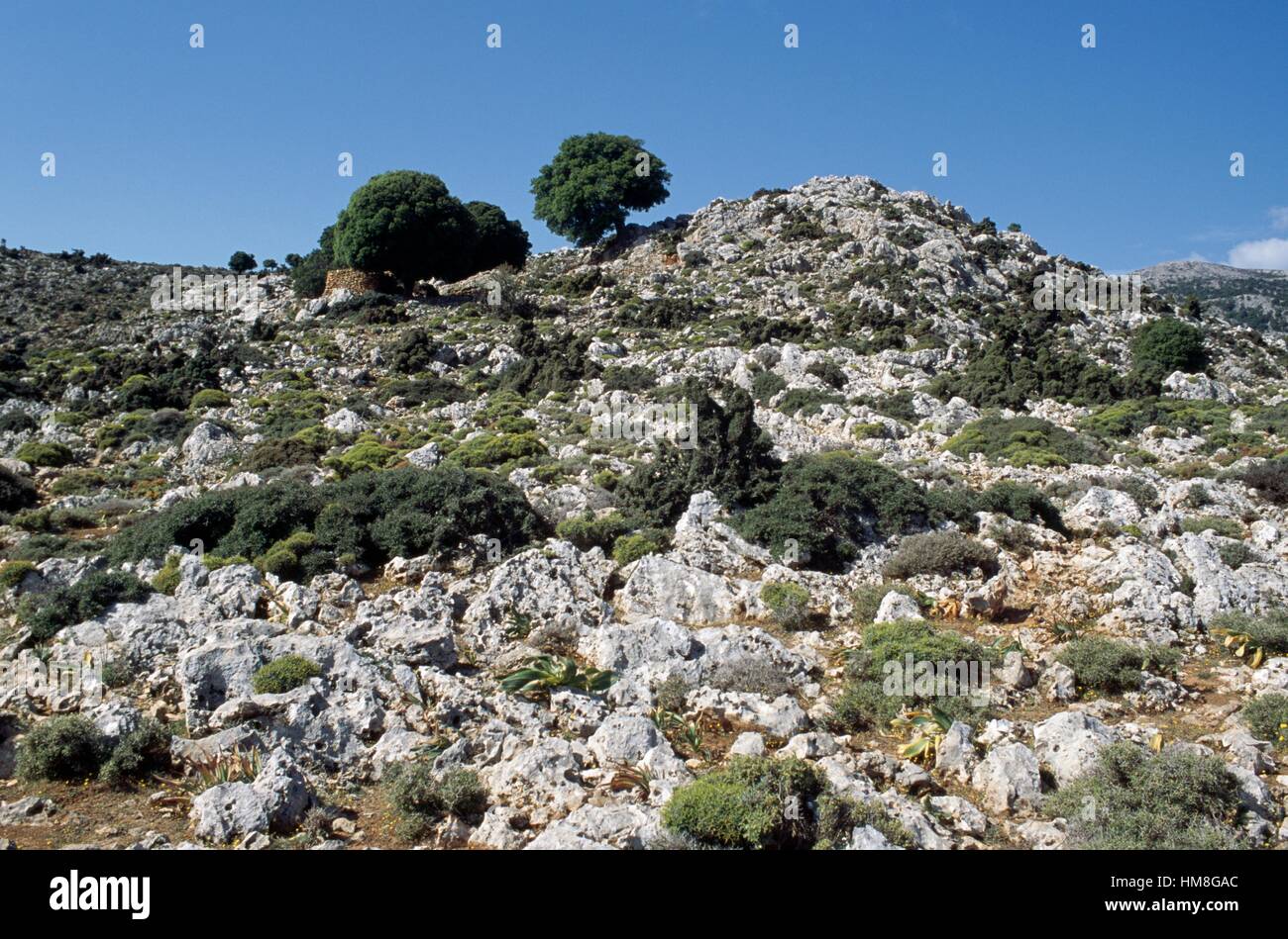 Landscape, Katharo plateau, Crete, Greece Stock Photo - Alamy