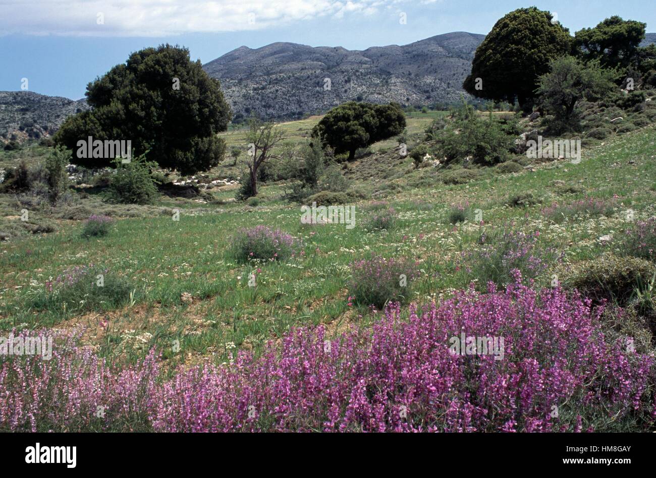 Agricultural landscape, Katharo plateau, Crete, Greece Stock Photo - Alamy