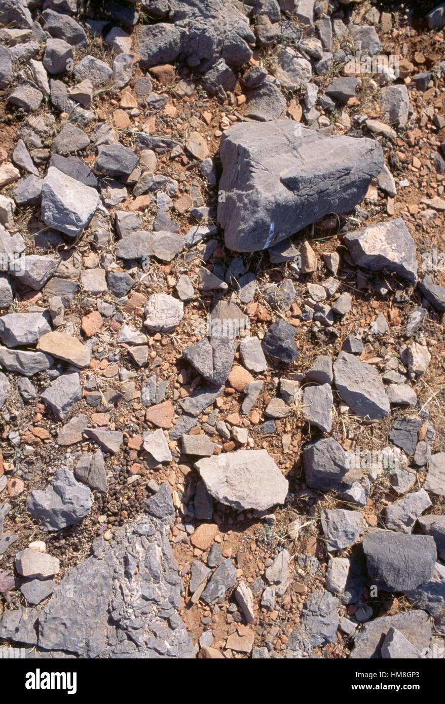 Stones, Petsofas Minoan peak sanctuary, Crete, Greece Stock Photo - Alamy