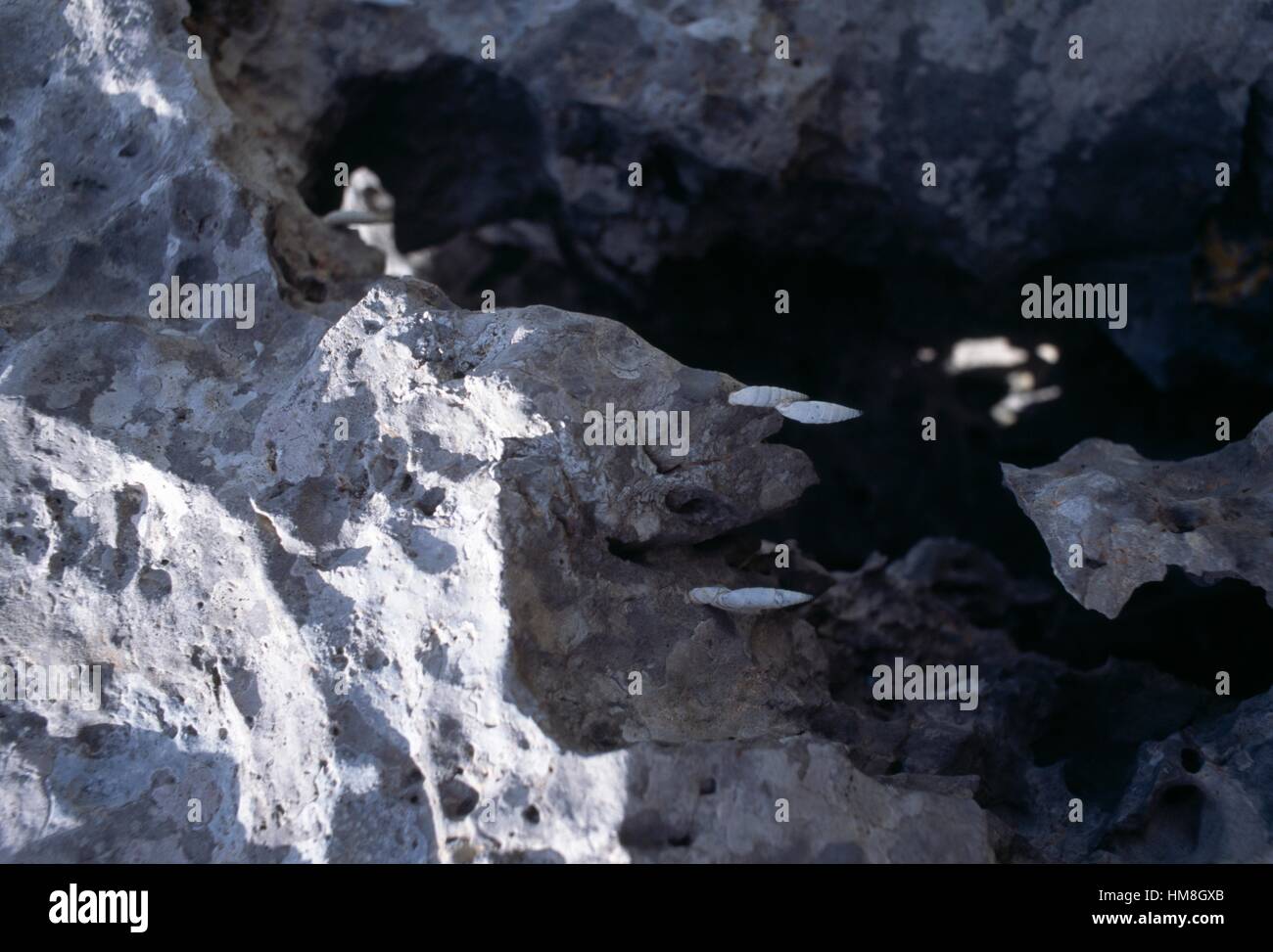 Rock, Prinias, Crete, Greece Stock Photo - Alamy