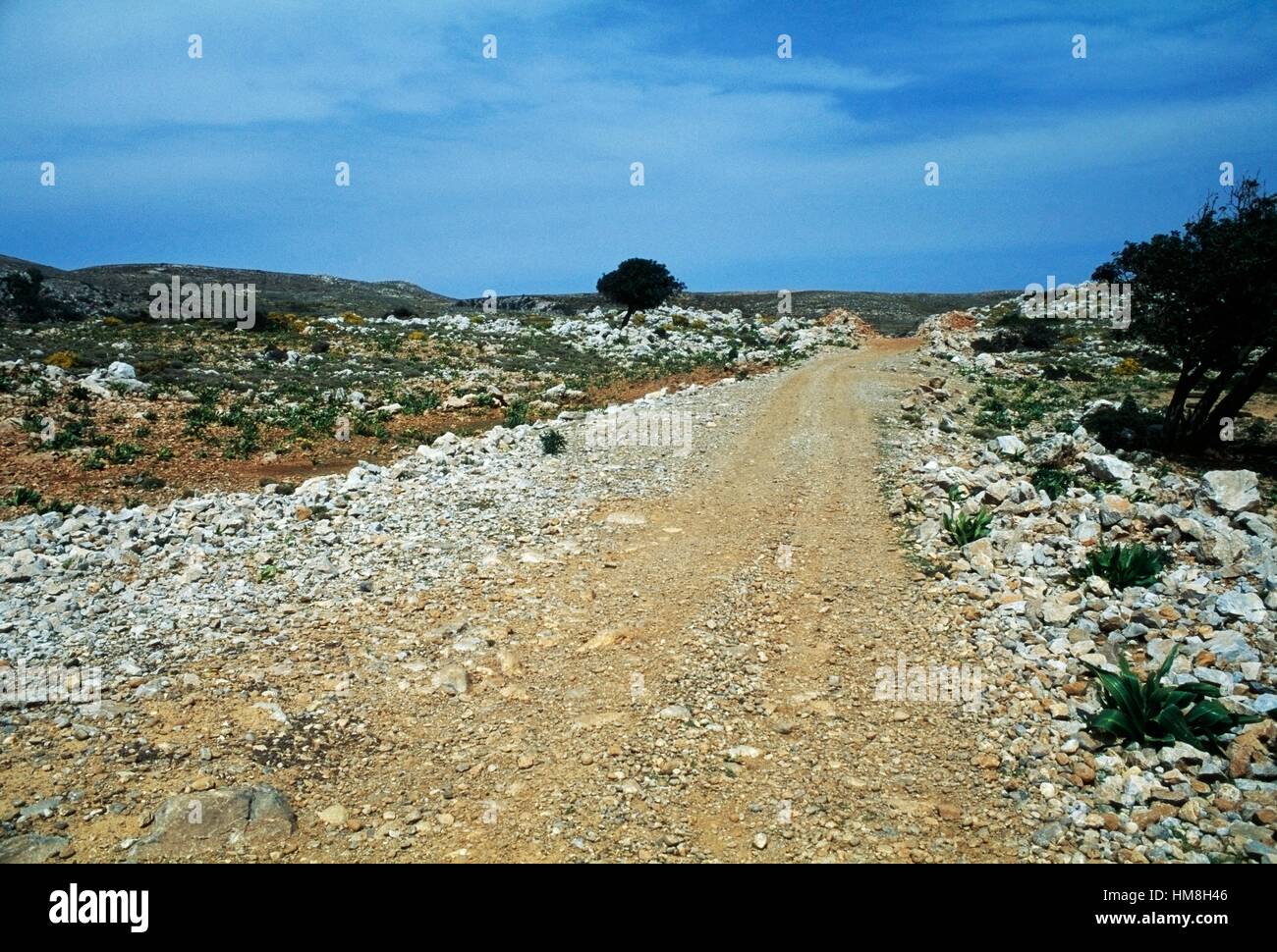 Dirt road, Rodopos peninsula, Crete, Greece Stock Photo - Alamy