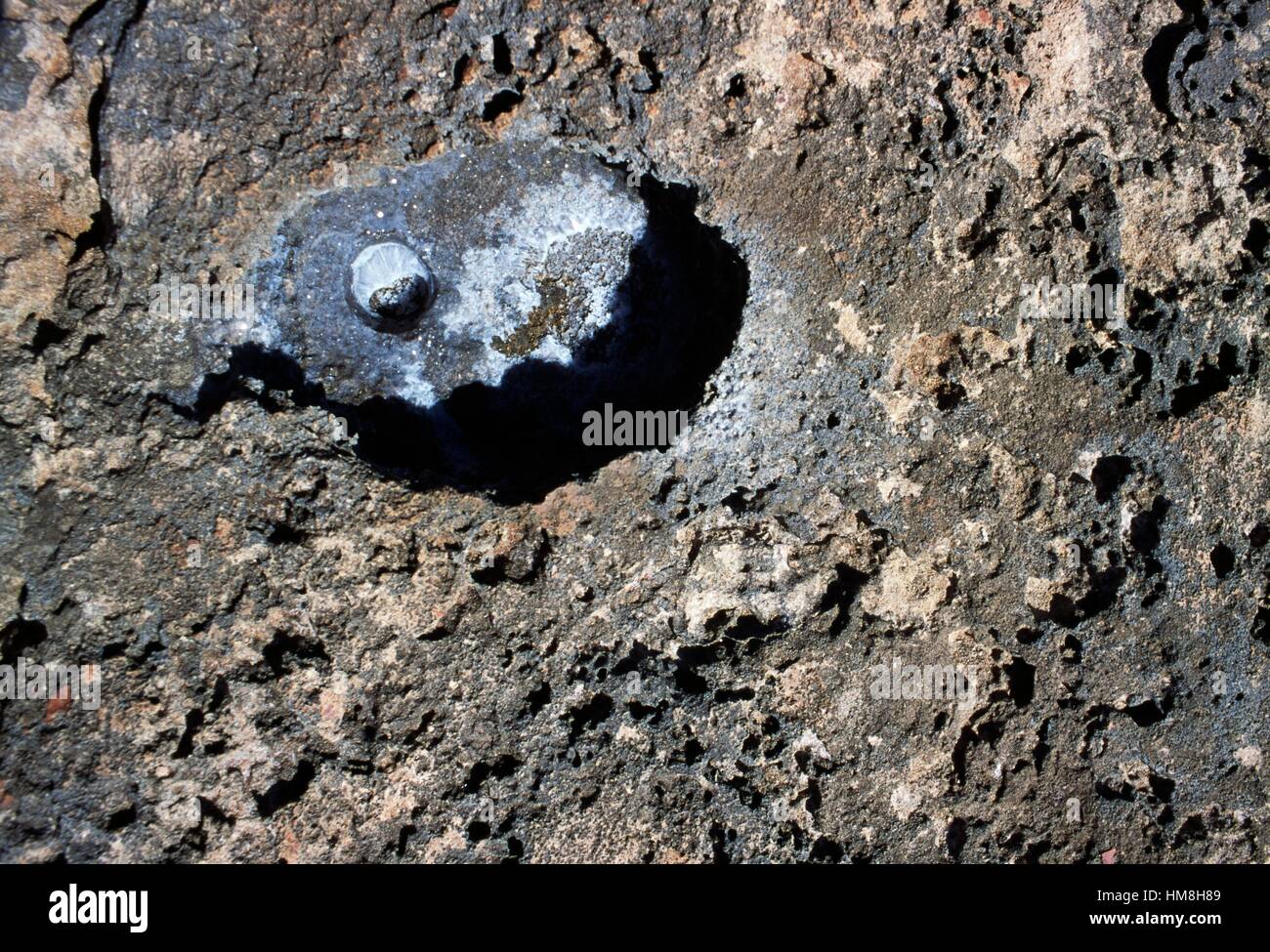Rock, detail, Itanos, Crete, Greece Stock Photo - Alamy