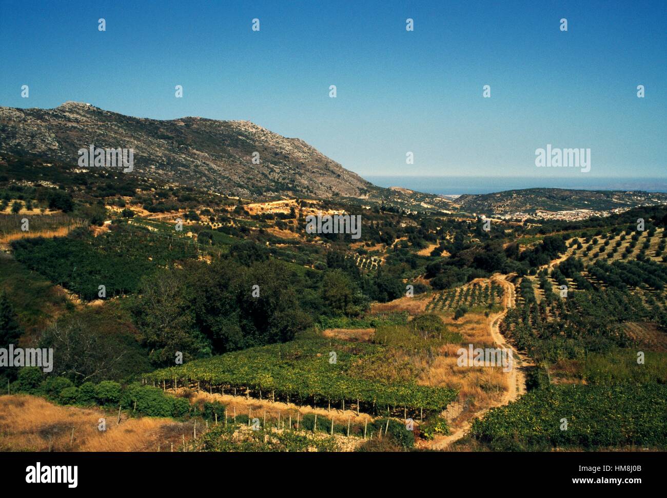 Agricultural landscape near Asomatos, Crete, Greece Stock Photo - Alamy