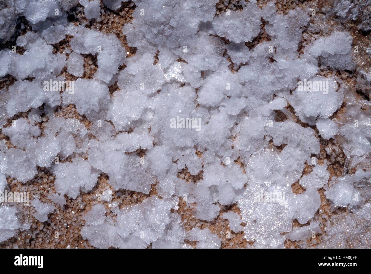 Salt crystals, Itanos, Crete, Greece Stock Photo - Alamy