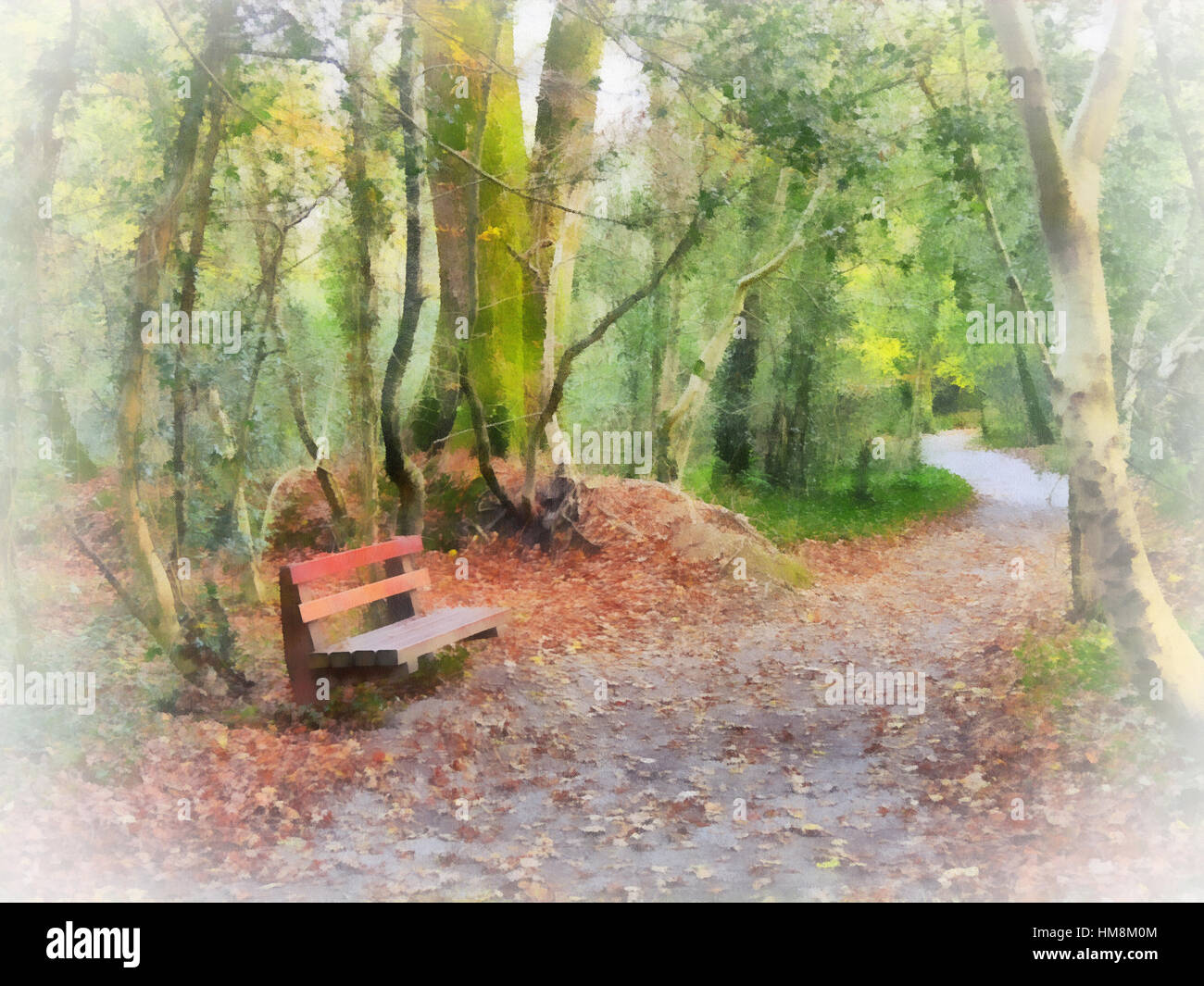 JFK Arboretum, Co. Wexford, Ireland. The way through the woods Stock ...