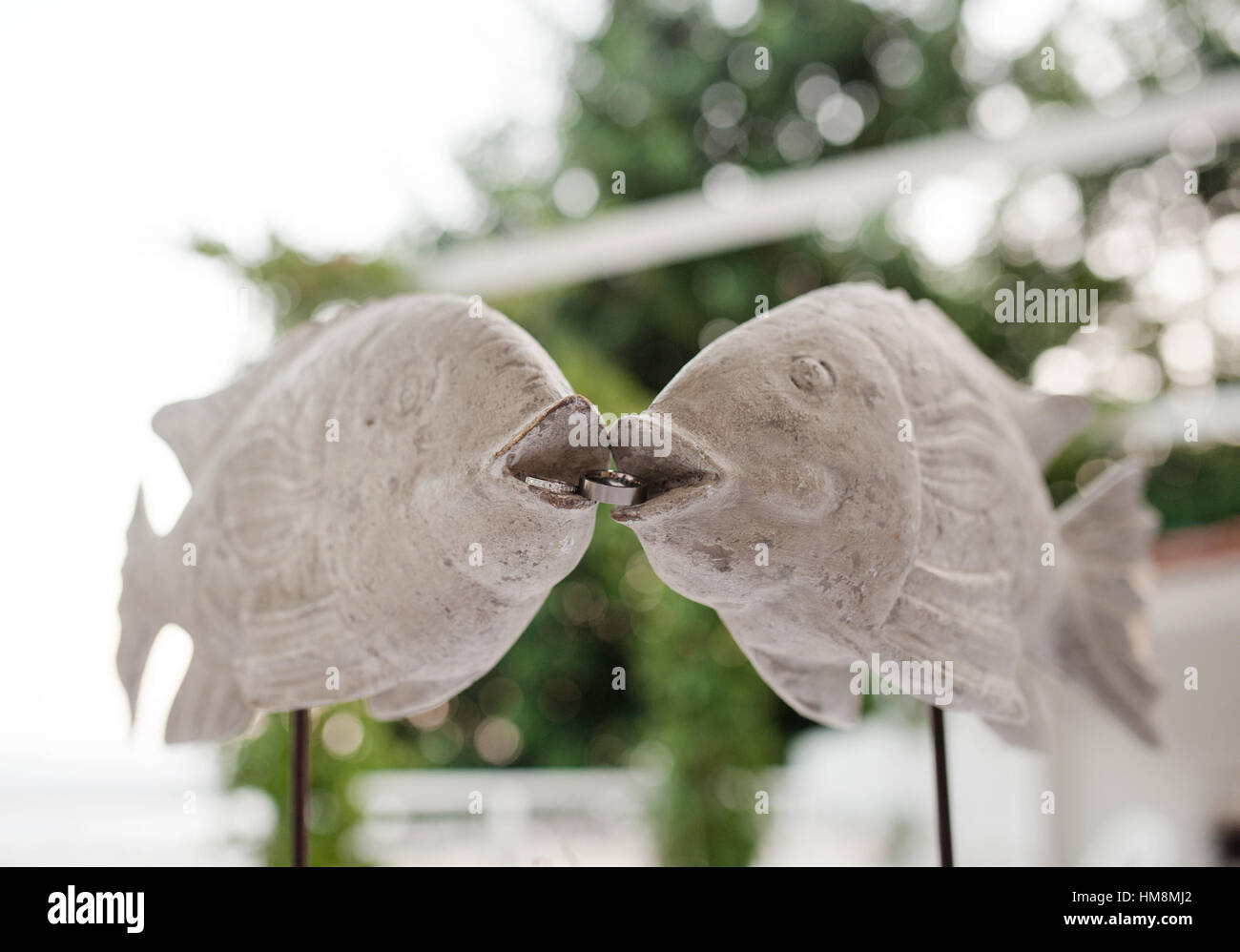 Two fish circle hi-res stock photography and images - Alamy