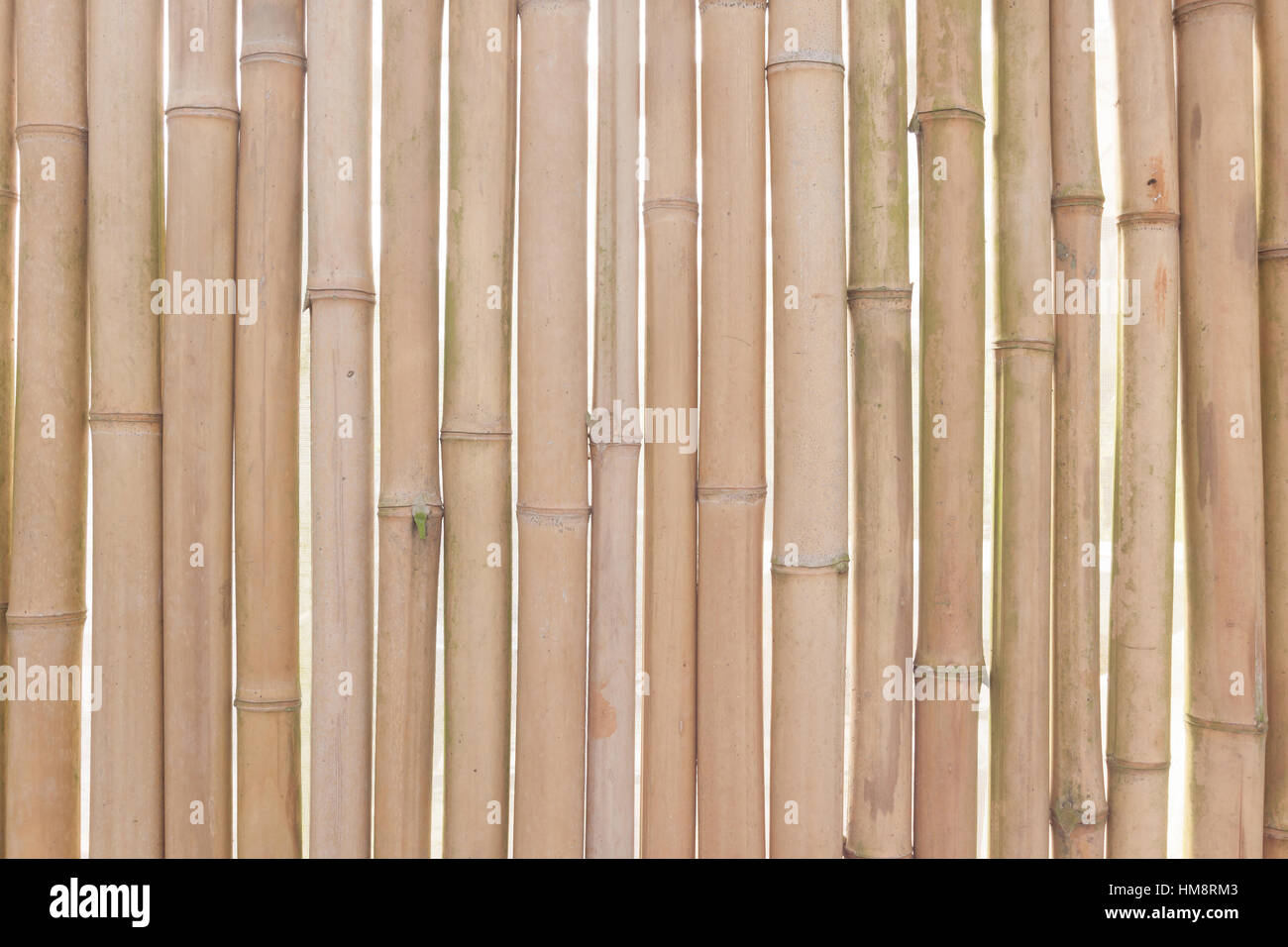 bamboo texture and background Stock Photo - Alamy