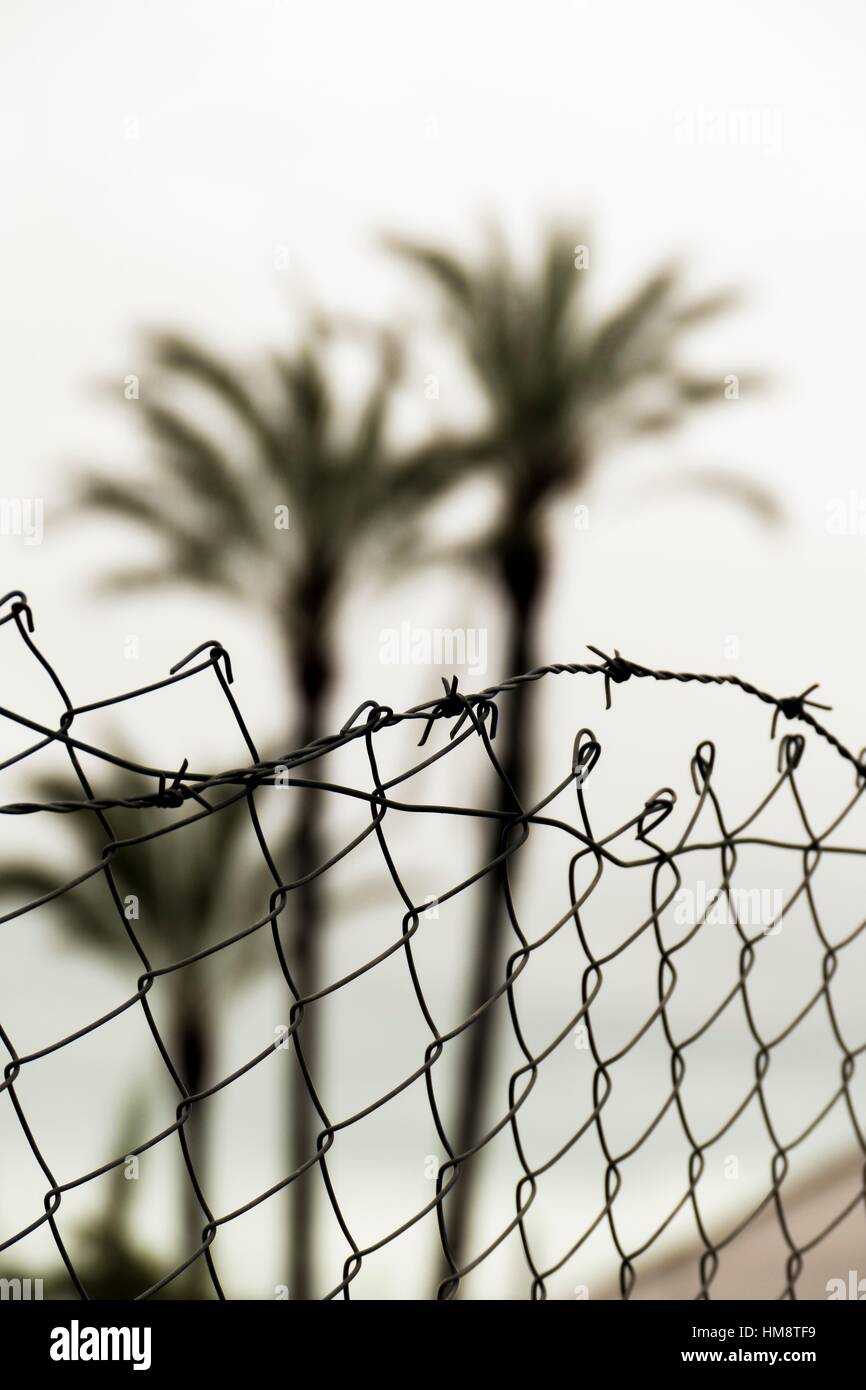 Palm trees behind fence hi-res stock photography and images - Alamy