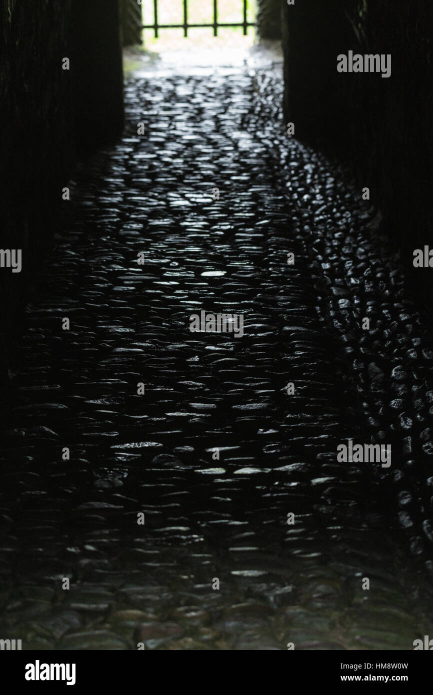 Cobbled pathway hi-res stock photography and images - Alamy