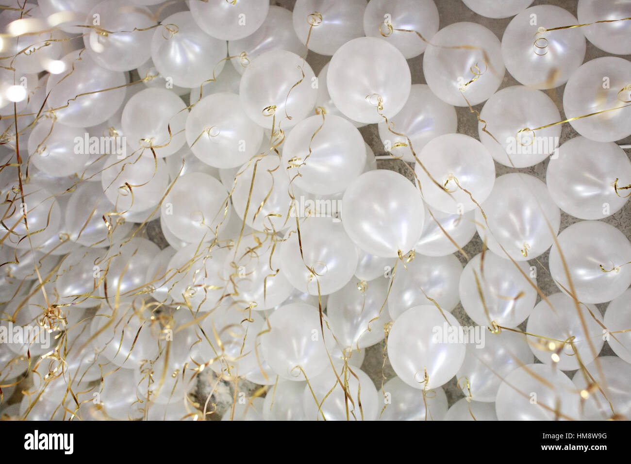 Many white balloons with gold ribbon ceiling Stock Photo - Alamy