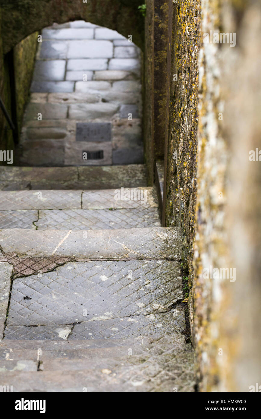 Wet flag stones hi-res stock photography and images - Alamy