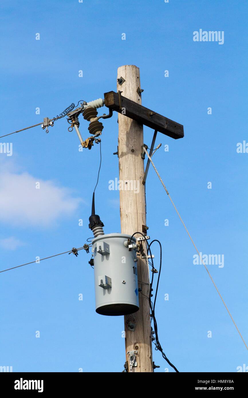 Small pole hi-res stock photography and images - Alamy