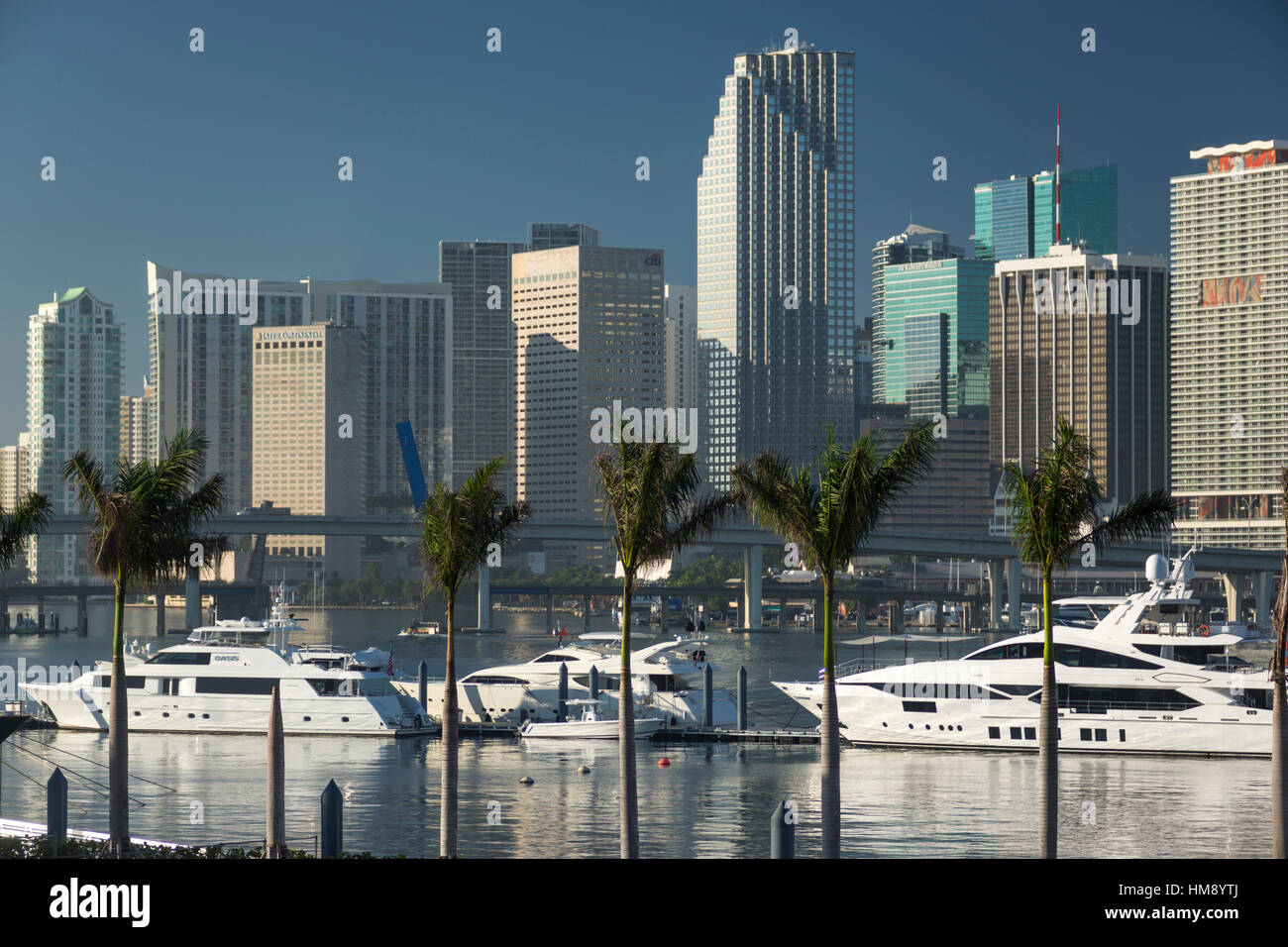 SUPERYATCHS MOORED AT ISLAND GARDENS MARINA WATSON ISLAND DOWNTOWN ...