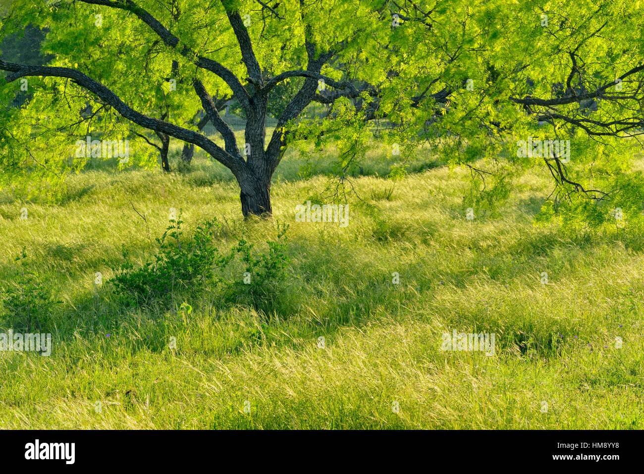 Burnet county hi-res stock photography and images - Alamy