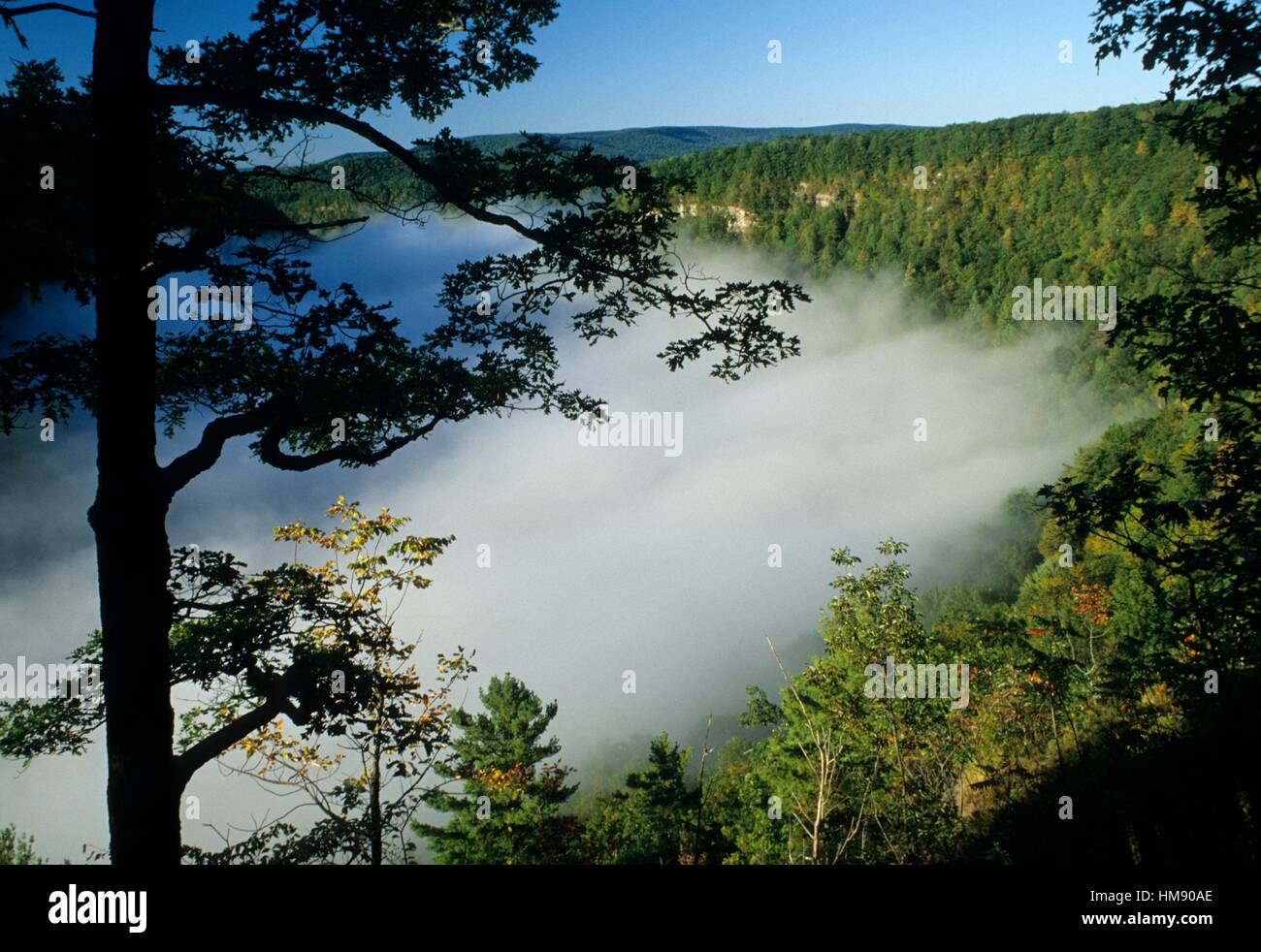 Grand canyon of pennsylvania hi-res stock photography and images - Alamy