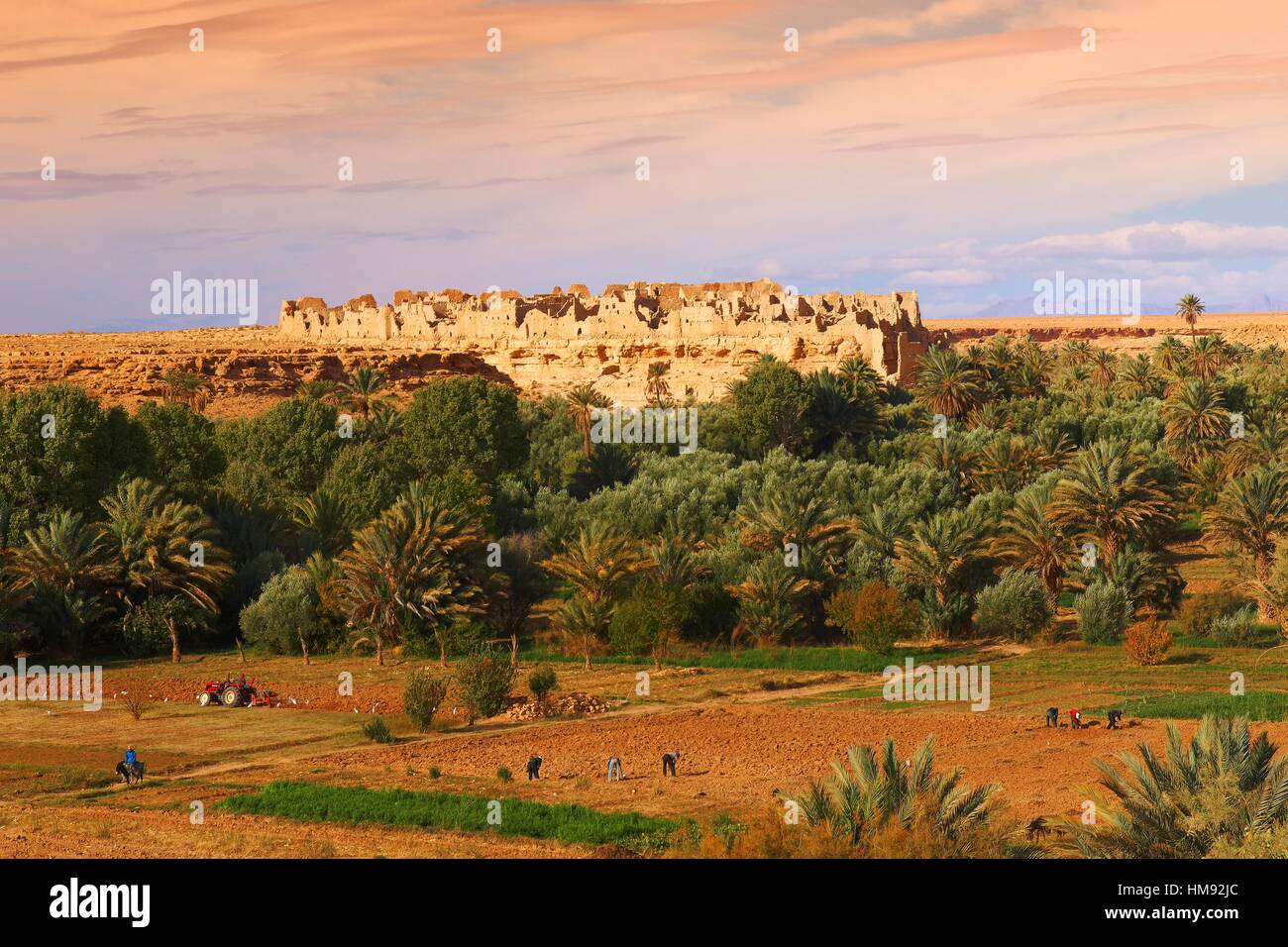 Meski Oasis High Resolution Stock Photography and Images - Alamy