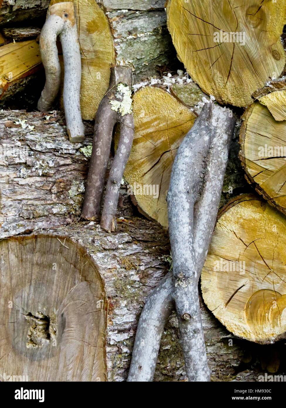 Woodpile art hi-res stock photography and images - Alamy
