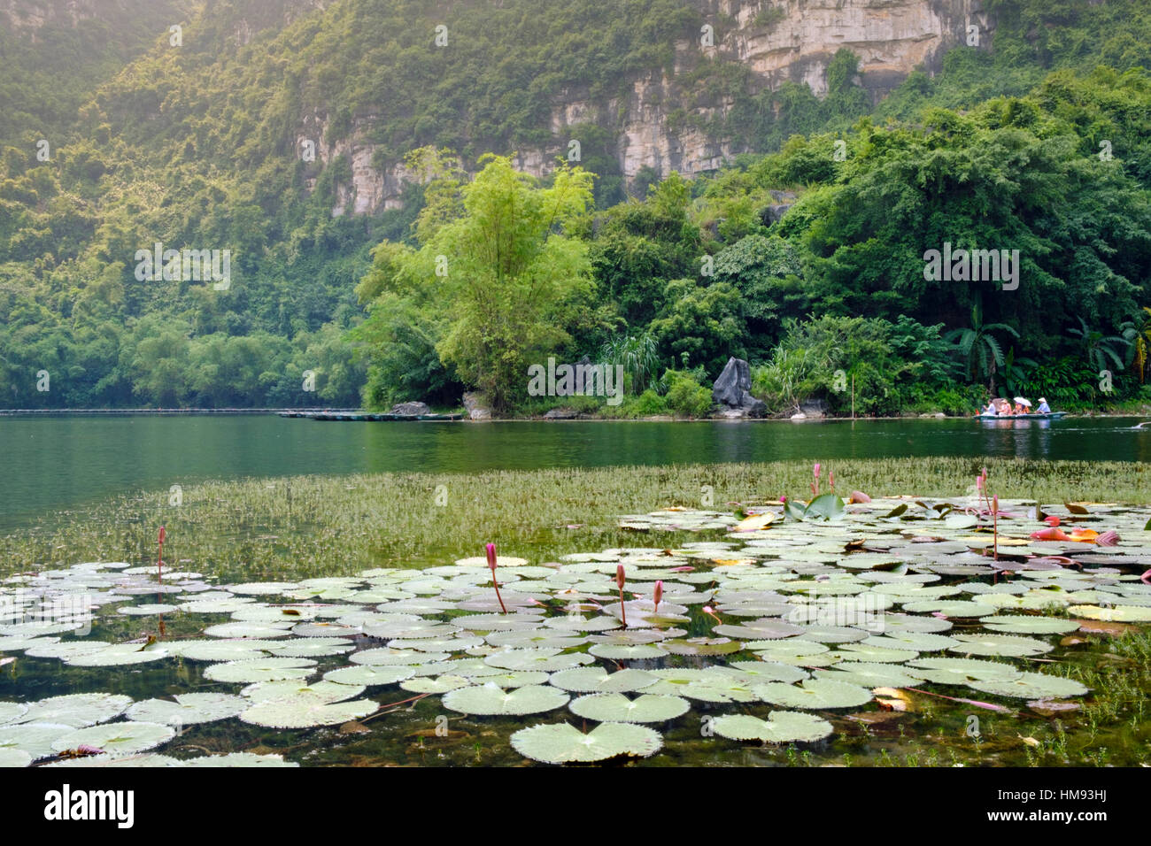 Karst topography hi-res stock photography and images - Alamy