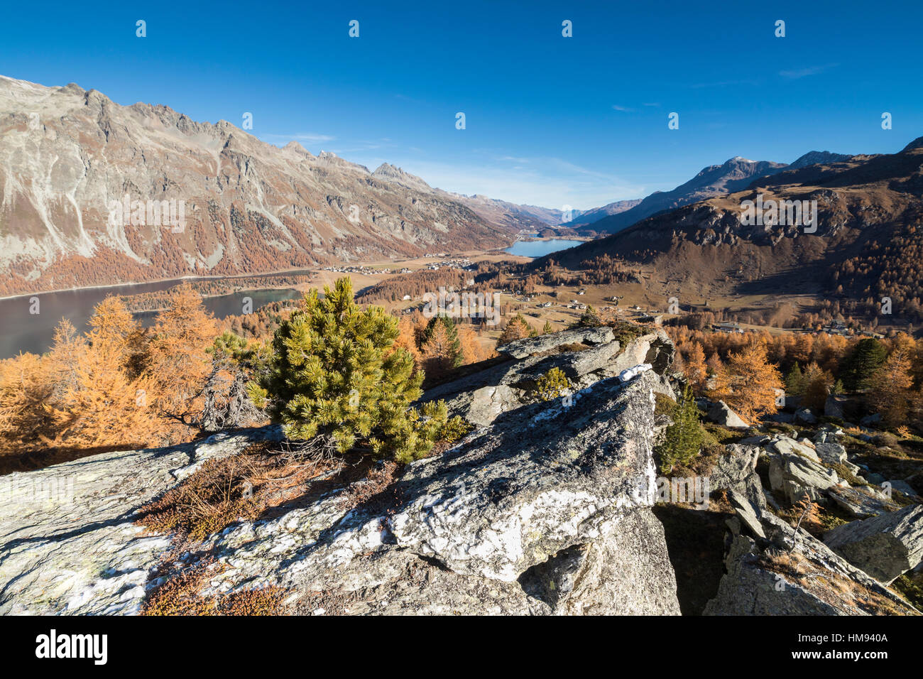 Colorful trees and blue sky frame Lake St. Moritz in the fall, Val ...