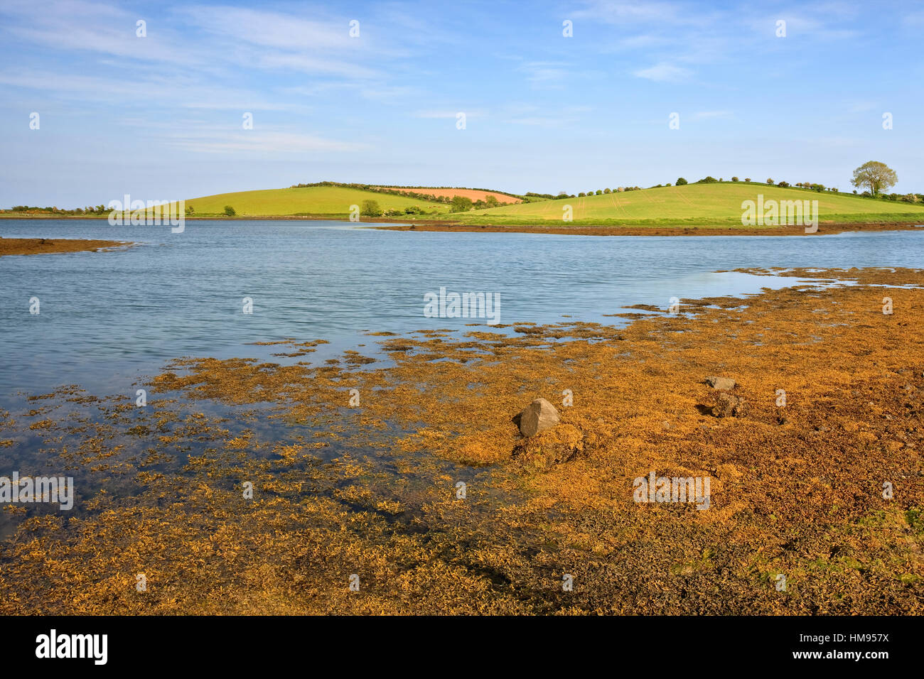 Strangford lough county down northern hi-res stock photography and ...