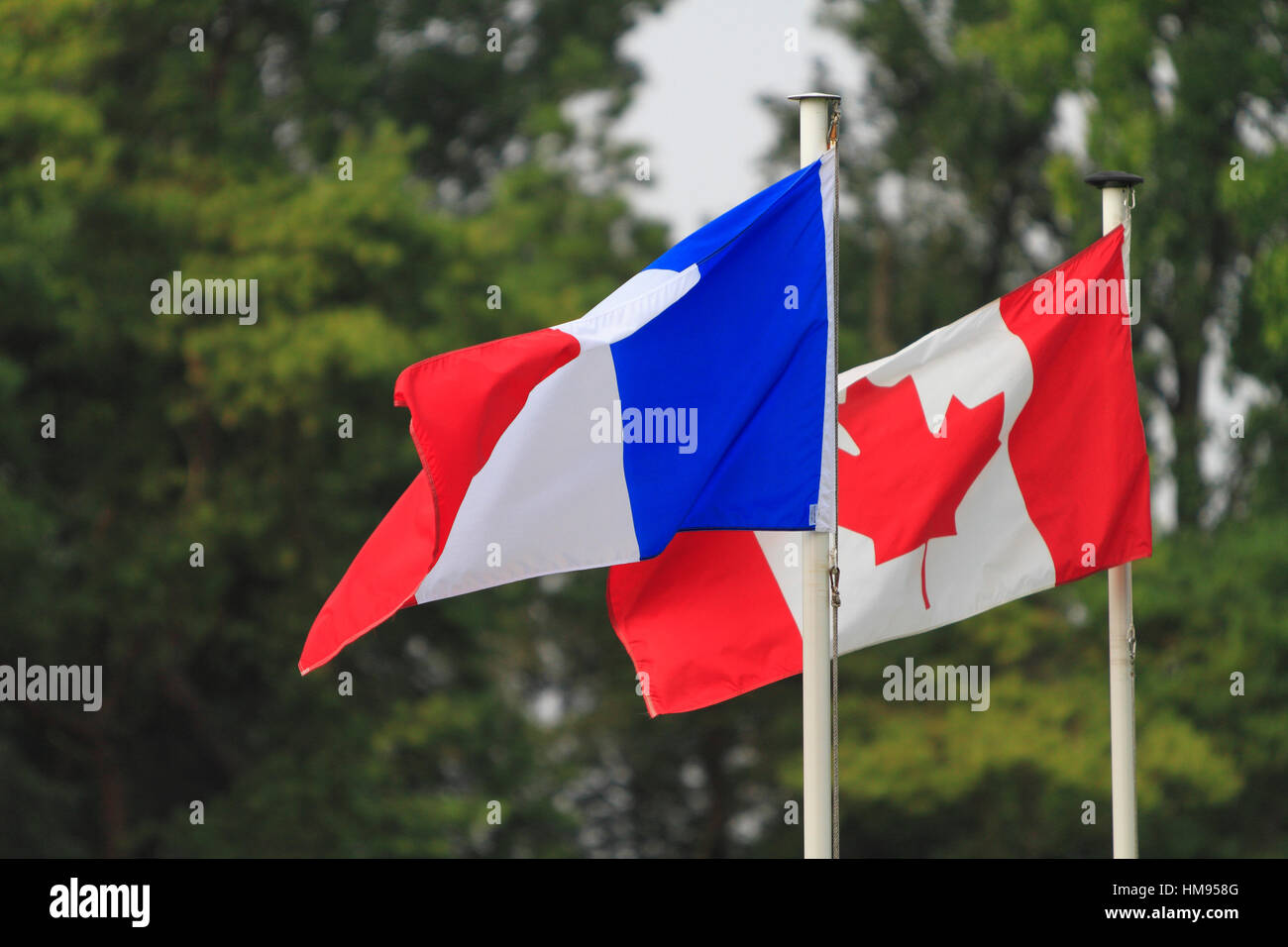 French Canadian Flag