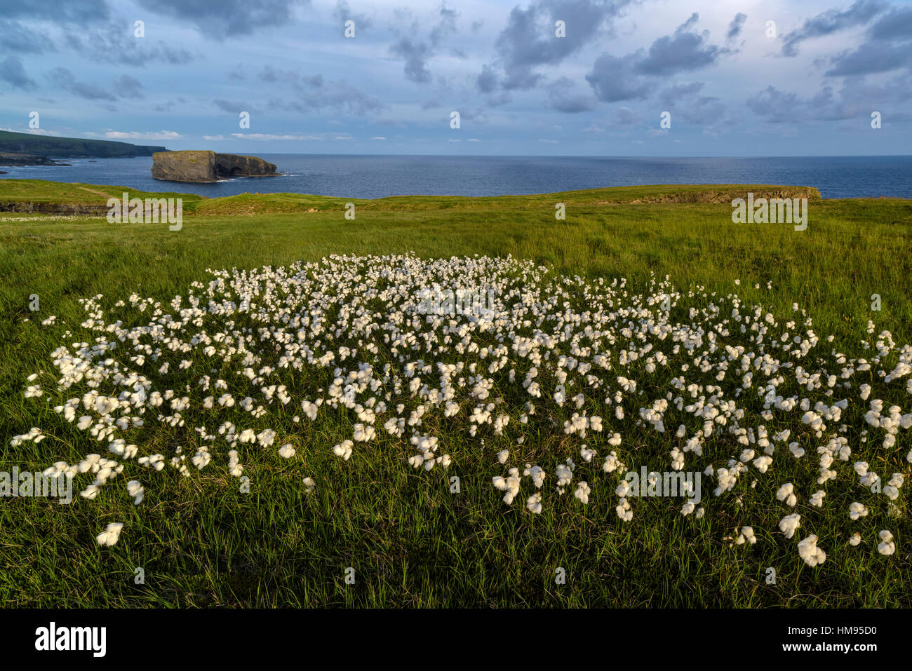 Castle Point, Loop Head, County Clare, Munster, Republic of Ireland ...