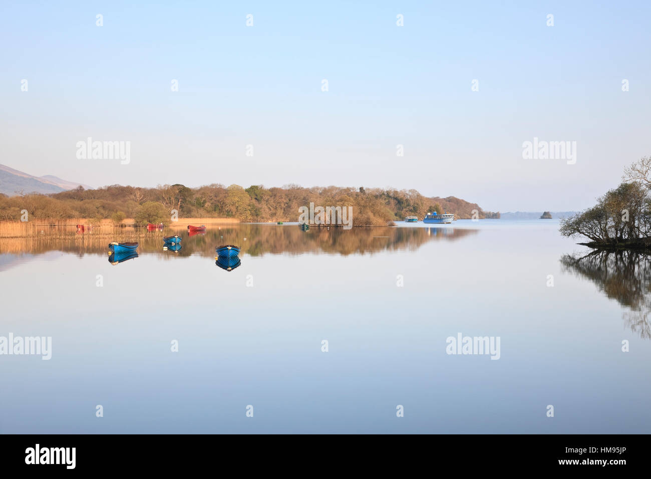 Lough Leane, Ross Bay, Killarney National Park, County Kerry, Munster ...