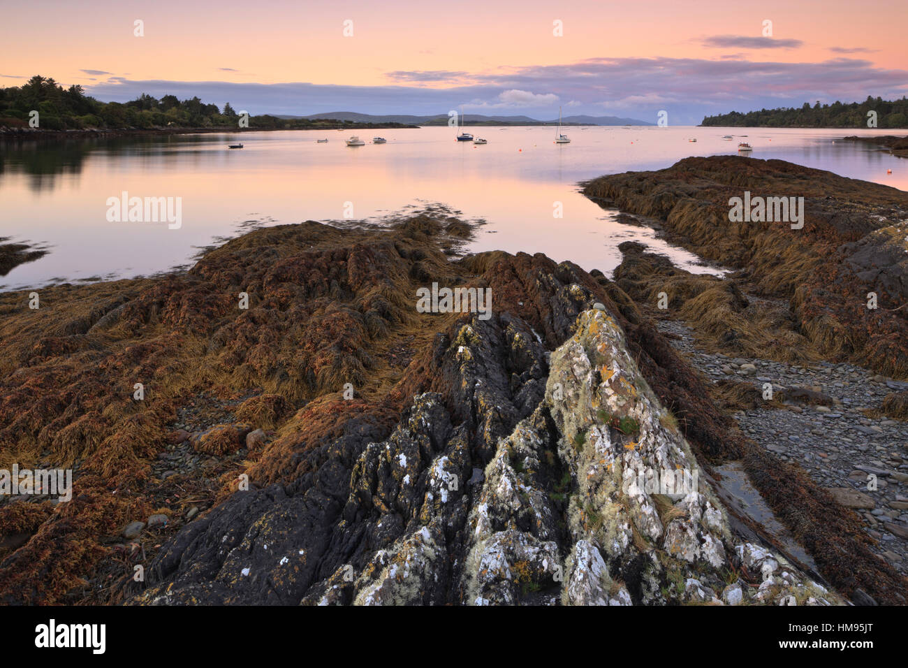 Bantry Bay, County Cork, Munster, Republic of Ireland Stock Photo - Alamy